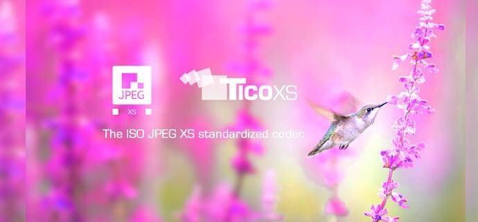 intoPIX delivers JPEG XS Compressed Solutions for Low Latency Video Streaming with NVIDIA GPUs ...